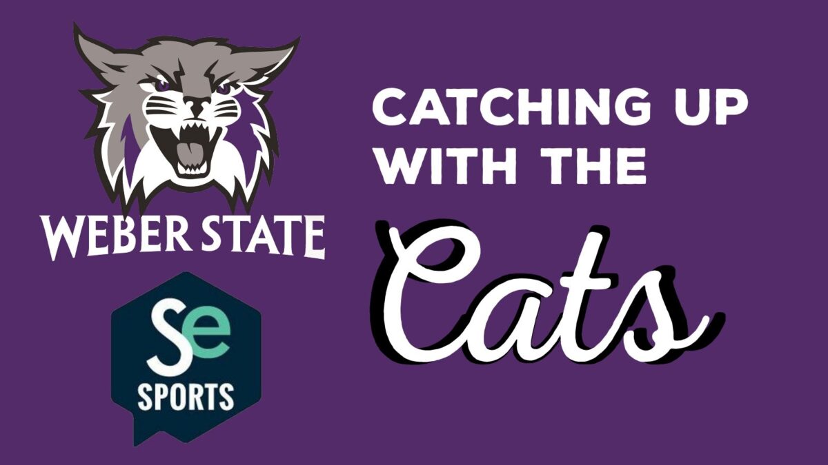 Catching up with the ‘Cats: Weber State basketball alumni | News ...